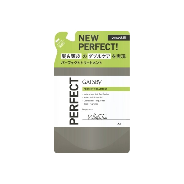 Shop Mandom - Gatsby Perfect Treatment Refill - 300ml | STYLEVANA